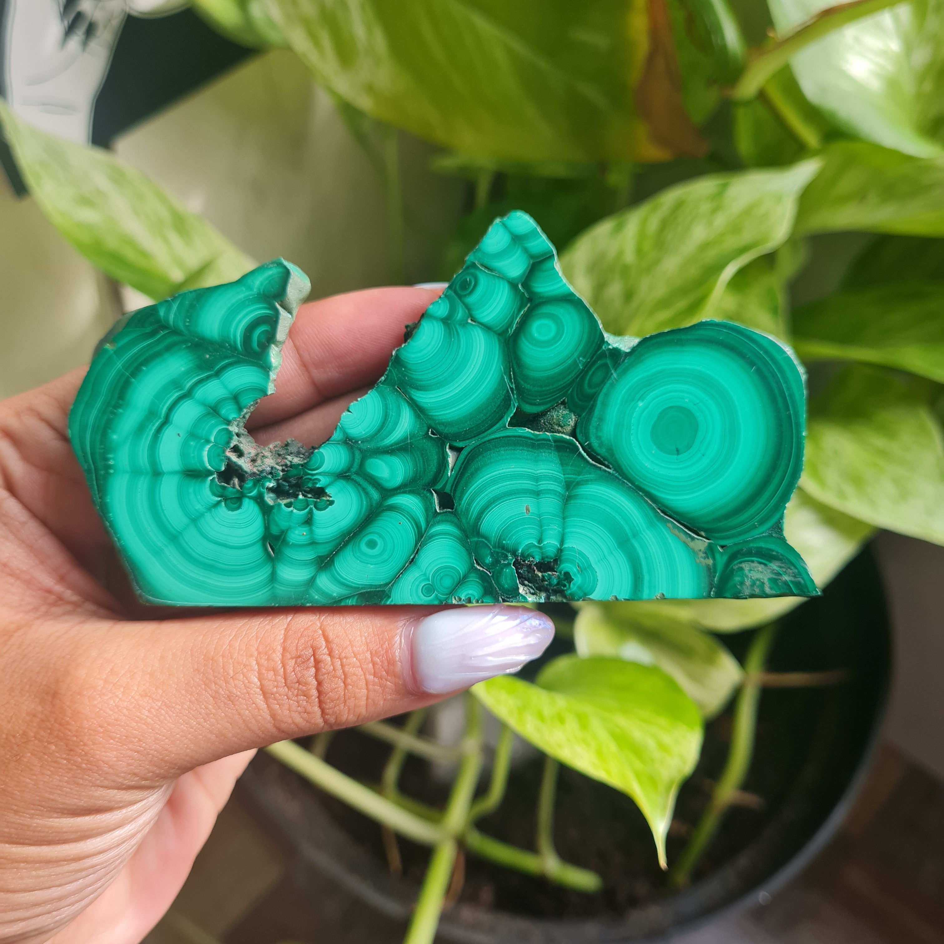Malachite Slab (High Quality) – Obsidian Designs Ltd
